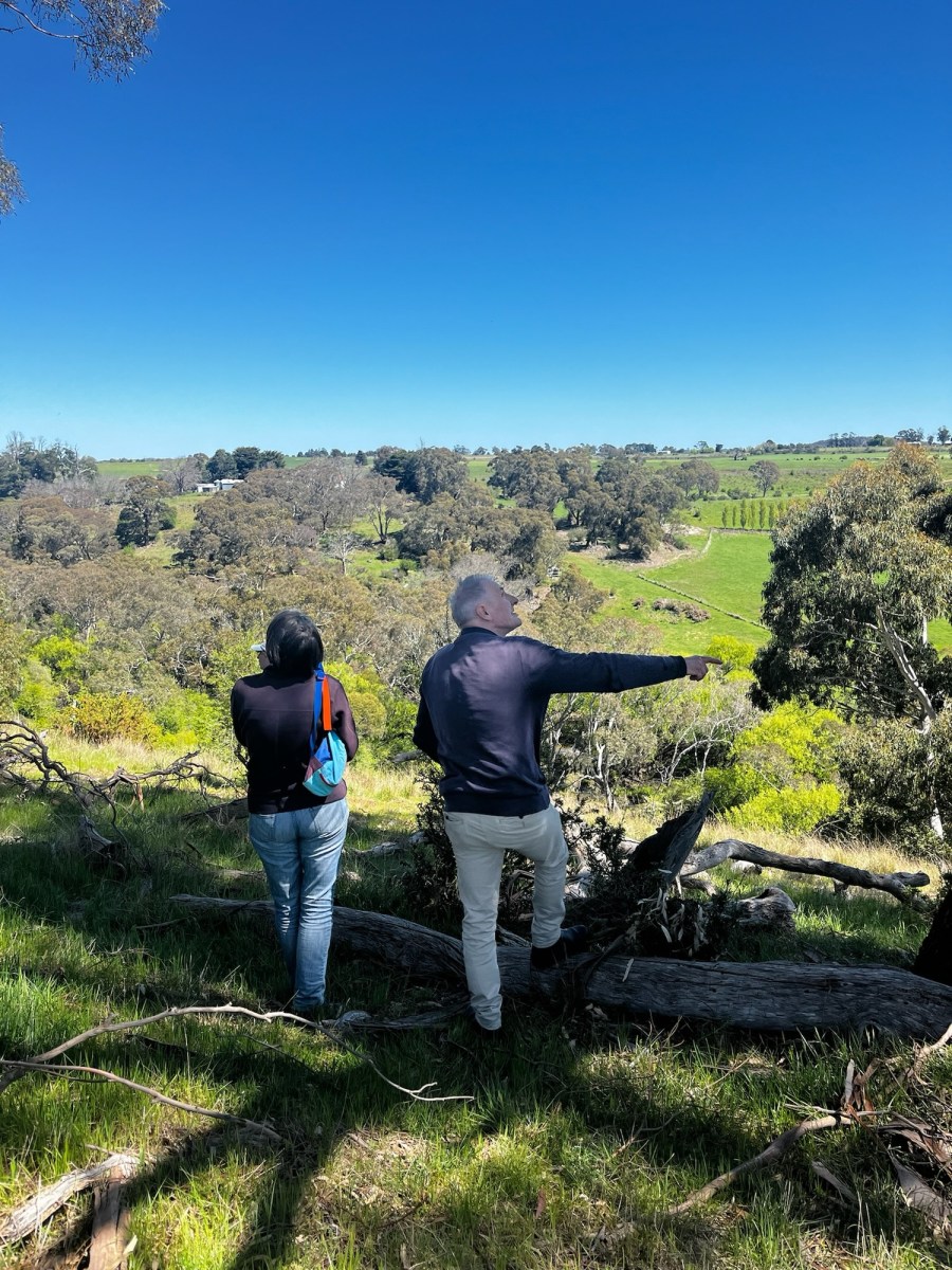 2024+ Focus – CR JENNIFER ANDERSON